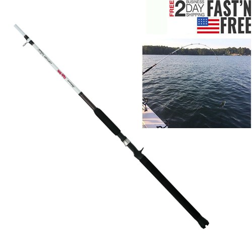 8ft Catfish Spinning Rod Two Piece Catfish Rod Stainless Steel Fishing ...