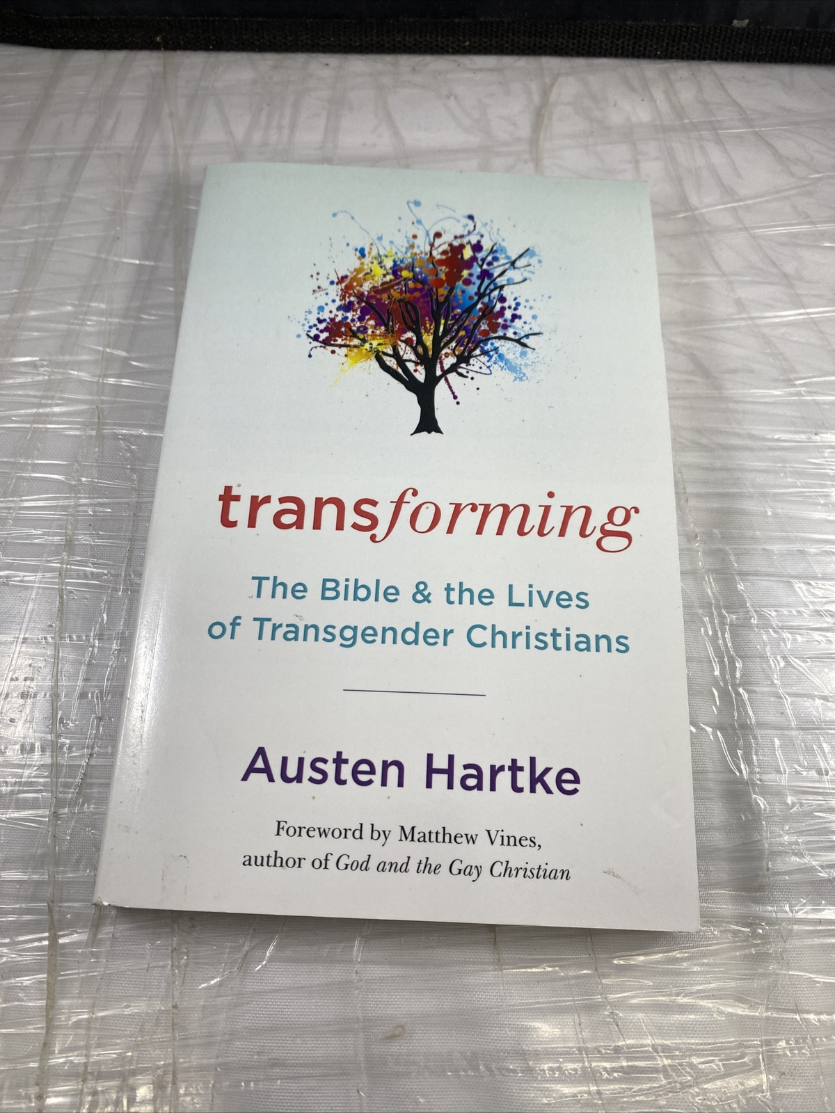 Transforming The Bible and the Lives of Transgender Christians Rare ...