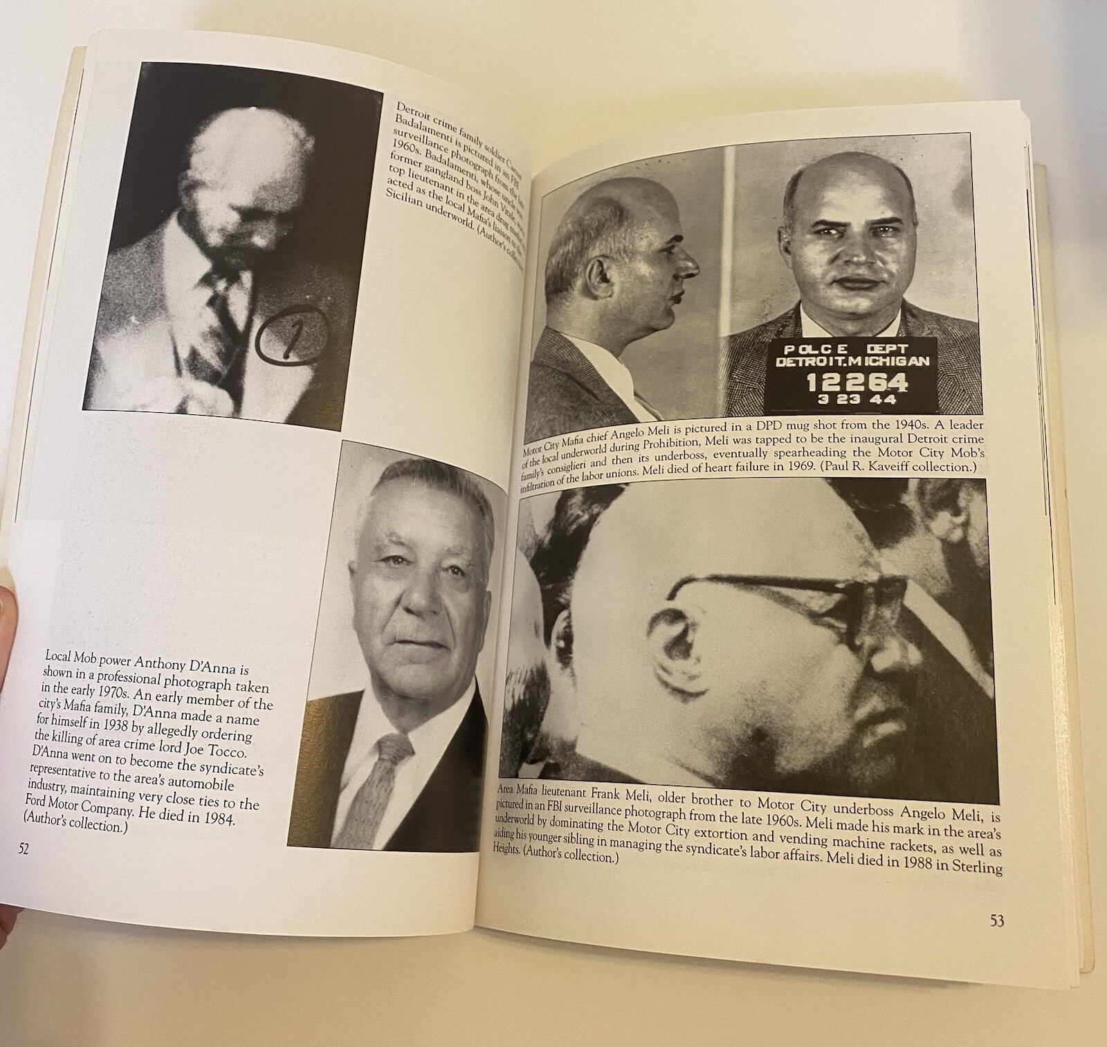 Detroit Mafia Members