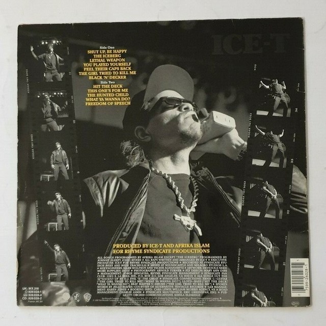 Ice T Iceberg Vinyl Album 1989 Sire Records WX 316 for sale online | eBay
