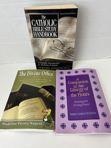 ️Catholic Studies Book Lot Catholic Bible Study Handbook Nice Lot 1 Day ...