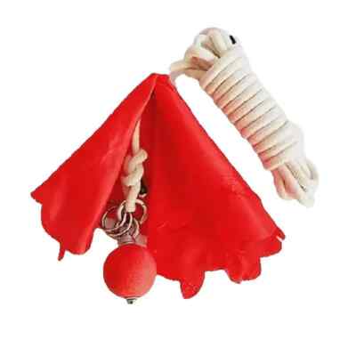Rubber Weight Throw Small Exercise Ball Meteor Hammer Soft Martial Arts ...