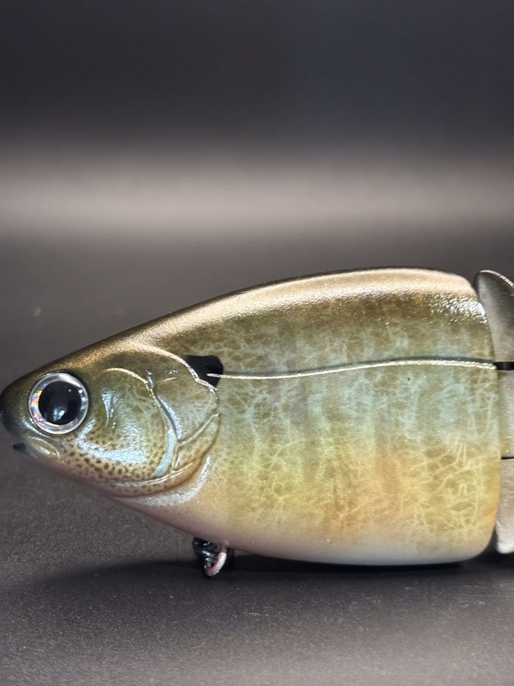 CUSTOM PAINTED HINKLE SHAD JR Glide Bait Modified | eBay