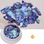 1 Box Shell Paper Abalone Flake Slice Sequin Fragment DIY Crafts Nail ...