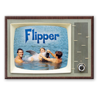 FLIPPER TV Show Retro TV 3.5 inches x 2.5 inches FRIDGE MAGNET | eBay