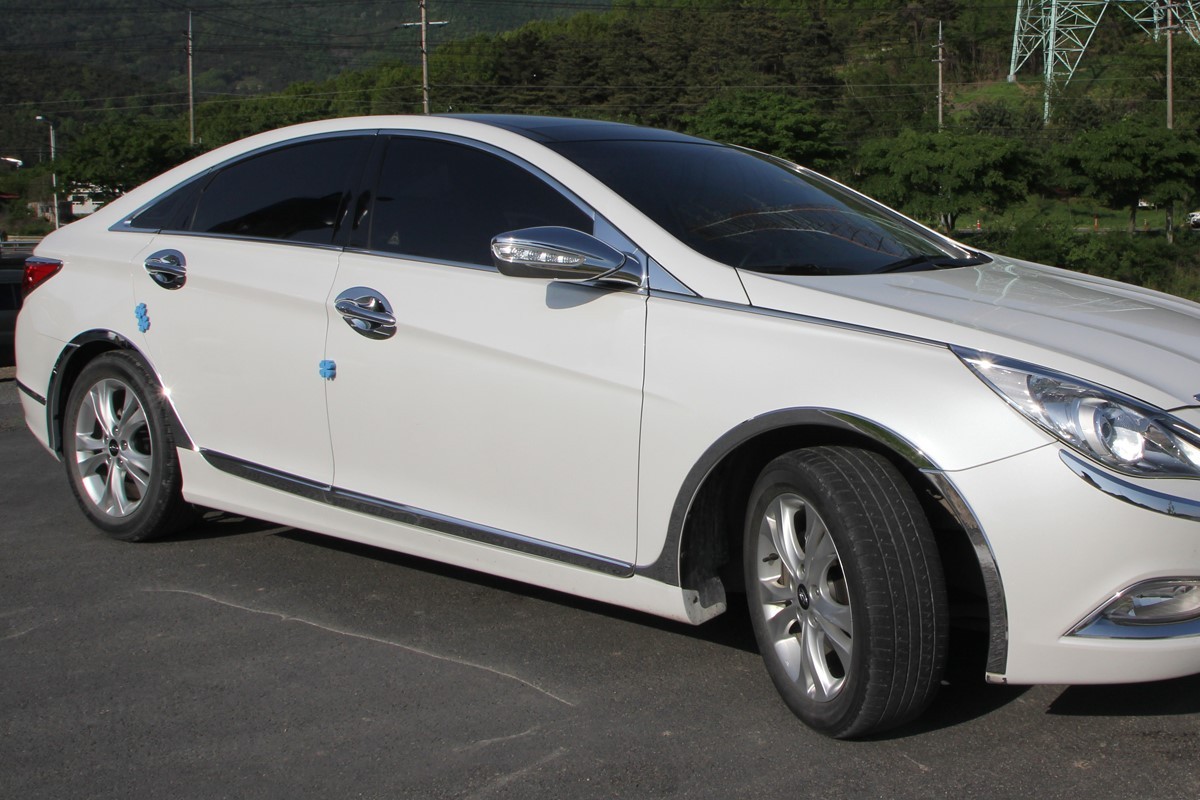 Chrome Side Skirt Accent Door Garnish Silver B669 Ups for Hyundai ...