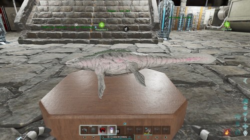 ARK Ascended Xbox Pc PlayStation Pve Female Mosasaurus Lvl 245 100% ...