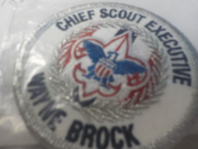 P-7188 Chief Scout Executive Wayne Brock | eBay