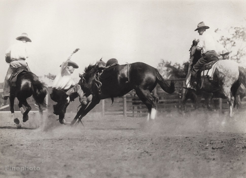 1908/52 Vintage WESTERN COWBOY HORSE Bronco Rodeo 11x14 Photo Art ERWIN ...