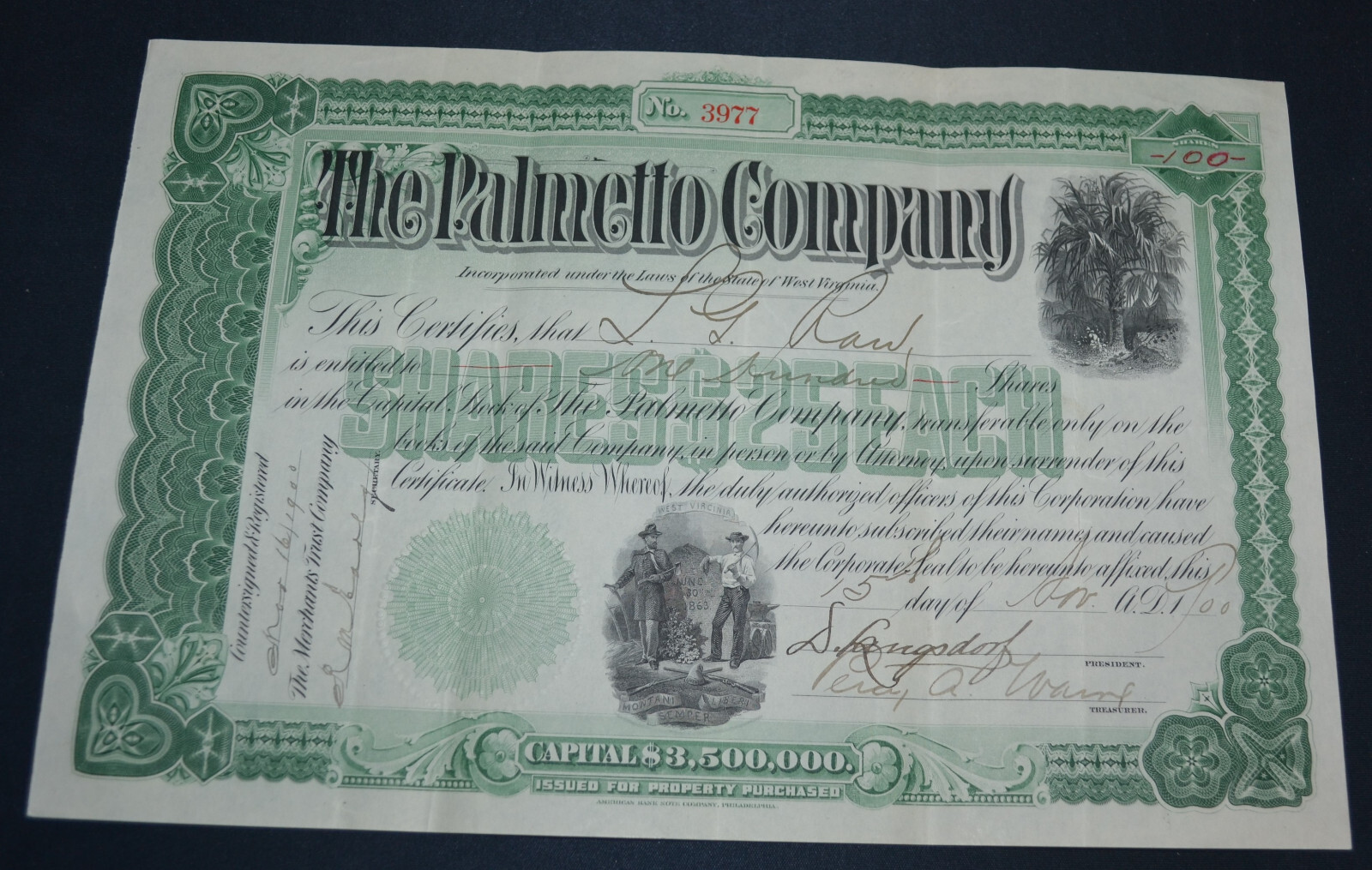 The Palmetto Company 1900 antique stock certificate - Florida | eBay