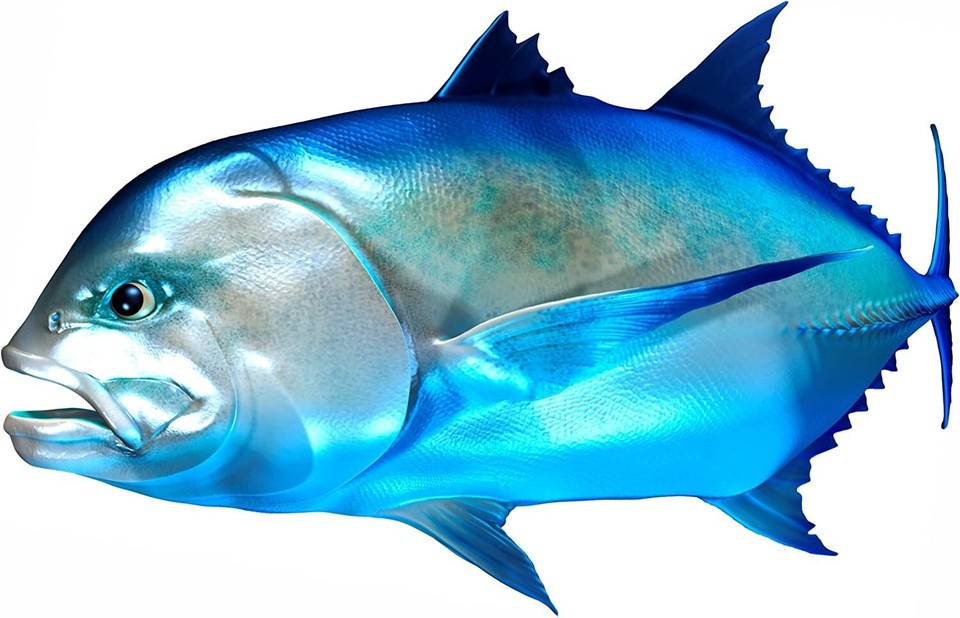 Giant Trevally Vinyl Sticker Fish Decals for Boat Car Vehicle Truck ...