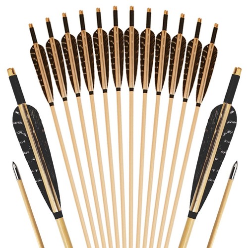 12 Pcs Archery Wooden Arrows with Feathers Handmade Targeting Arrows ...