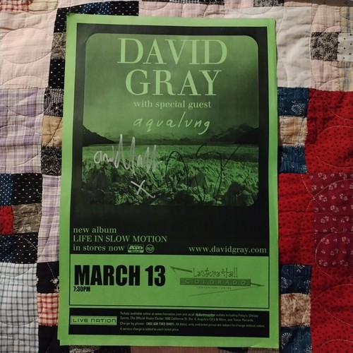 David Gray Autographed Concert Flyer Aqualung | eBay