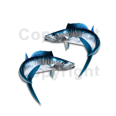 Wahoo Sticker Decal Fishing RV Boat Car Truck Camper Trailer F105 2 ...