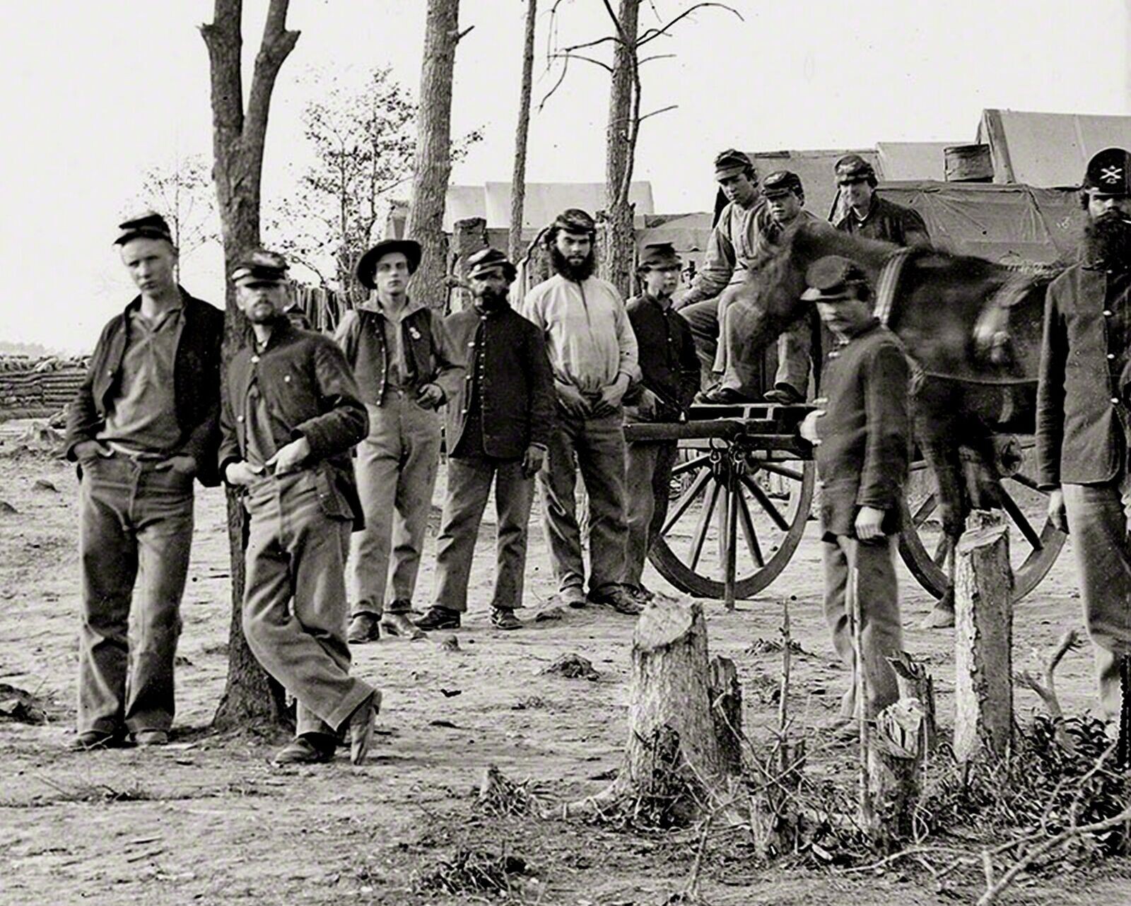 1865 13th NY Heavy Artillery in Petersburg CIVIL WAR Historic Poster ...