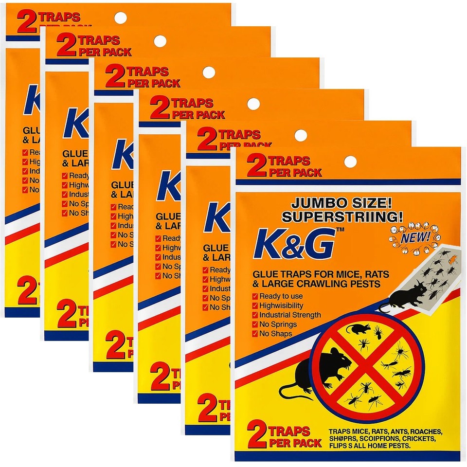 2 4 6 8 12 PK Ant Insect Mouse Glue Traps Rodent Catcher Rat Board ...