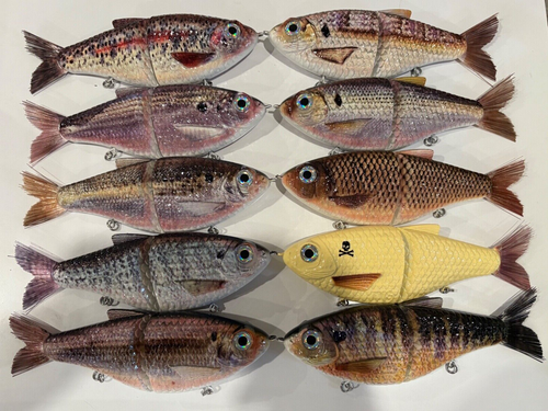 TYG Silencer Glide bait swimbait custom 7 inch 10 Glide baits shad NEW ...