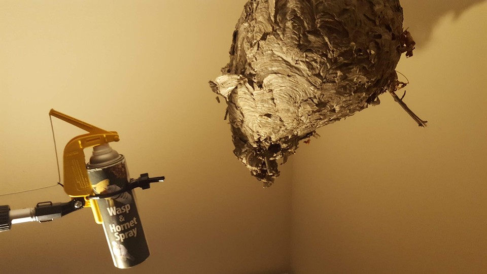 Gotcha Sprayer Pro Triggers Aerosol Wasp Hornet Spray 1 Count Yellow ...