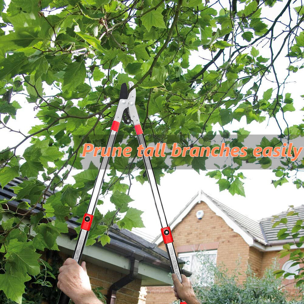 Extendable Telescopic Tree Pruner Garden Branch Cutter Lopper Heavy ...