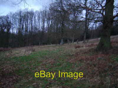 Photo 6x4 Ancient Woodland Dippenhall This view of an area of ...