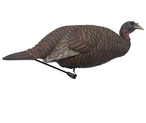 New Flextone Thunder Breeder Hen Turkey Decoy with carry bag. NWTF ...