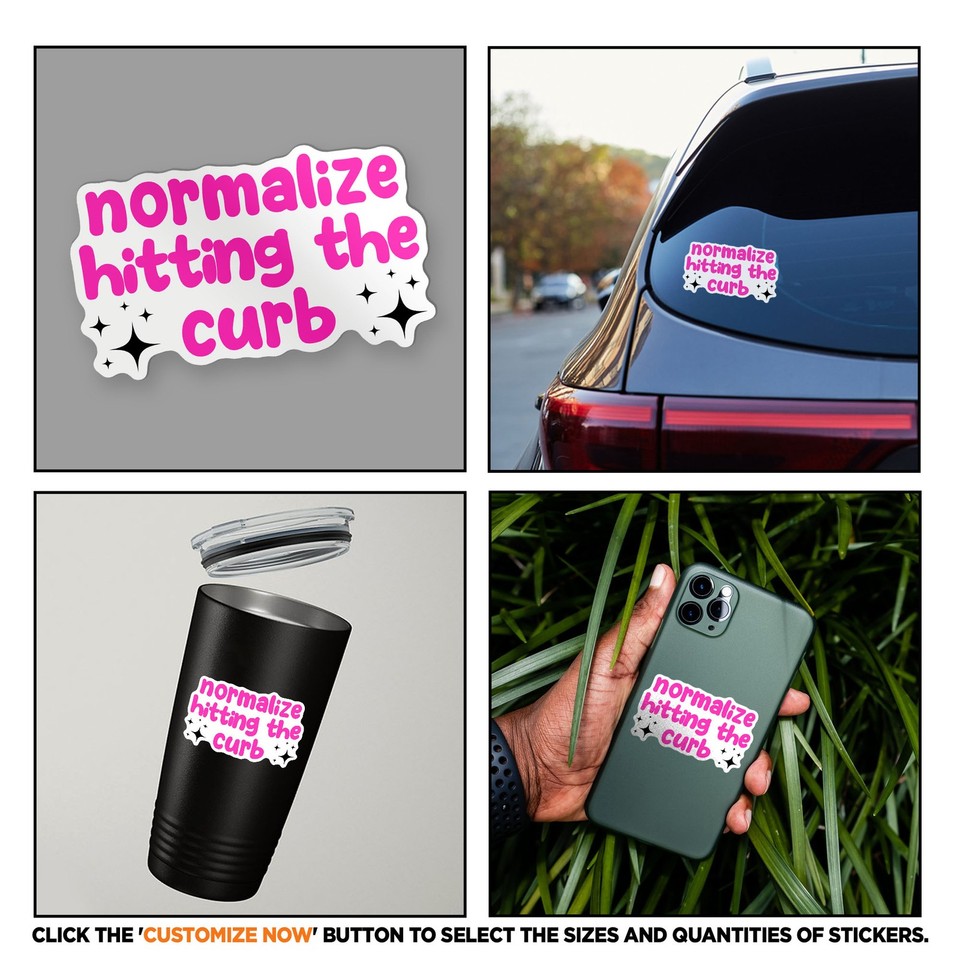 Normalize Hitting the Curb Sticker Funny Meme Quote for New Drive | eBay