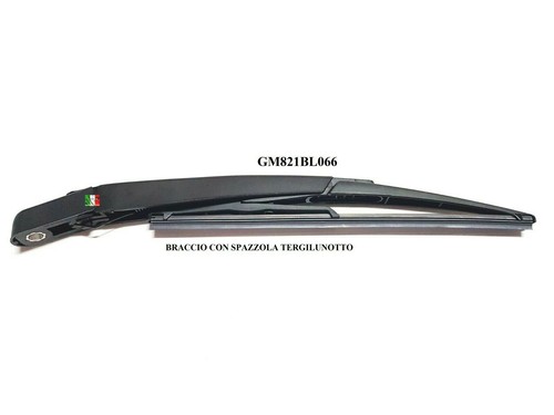 BRACCIO CON SPAZZOLA TERGILUNOTTO AIXAM GM821BL066 | eBay