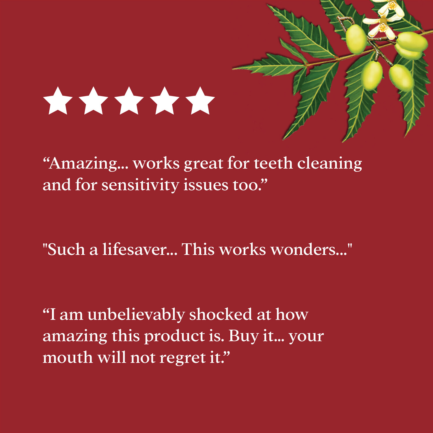 TheraNeem Neem Tooth & Gum Oil | Supports Healthy Teeth & Gums | 0.5oz ...