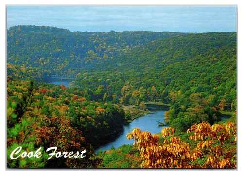 Vintage 1990s - Seneca Point - Cook Forest, Pennsylvania Postcard ...