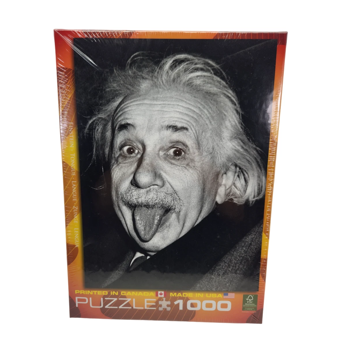 Einstein Jigsaw Puzzle