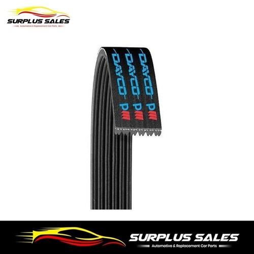 5060613 * Universal Dayco Seprentine Belt Equiv to 6PK1555 | eBay Australia
