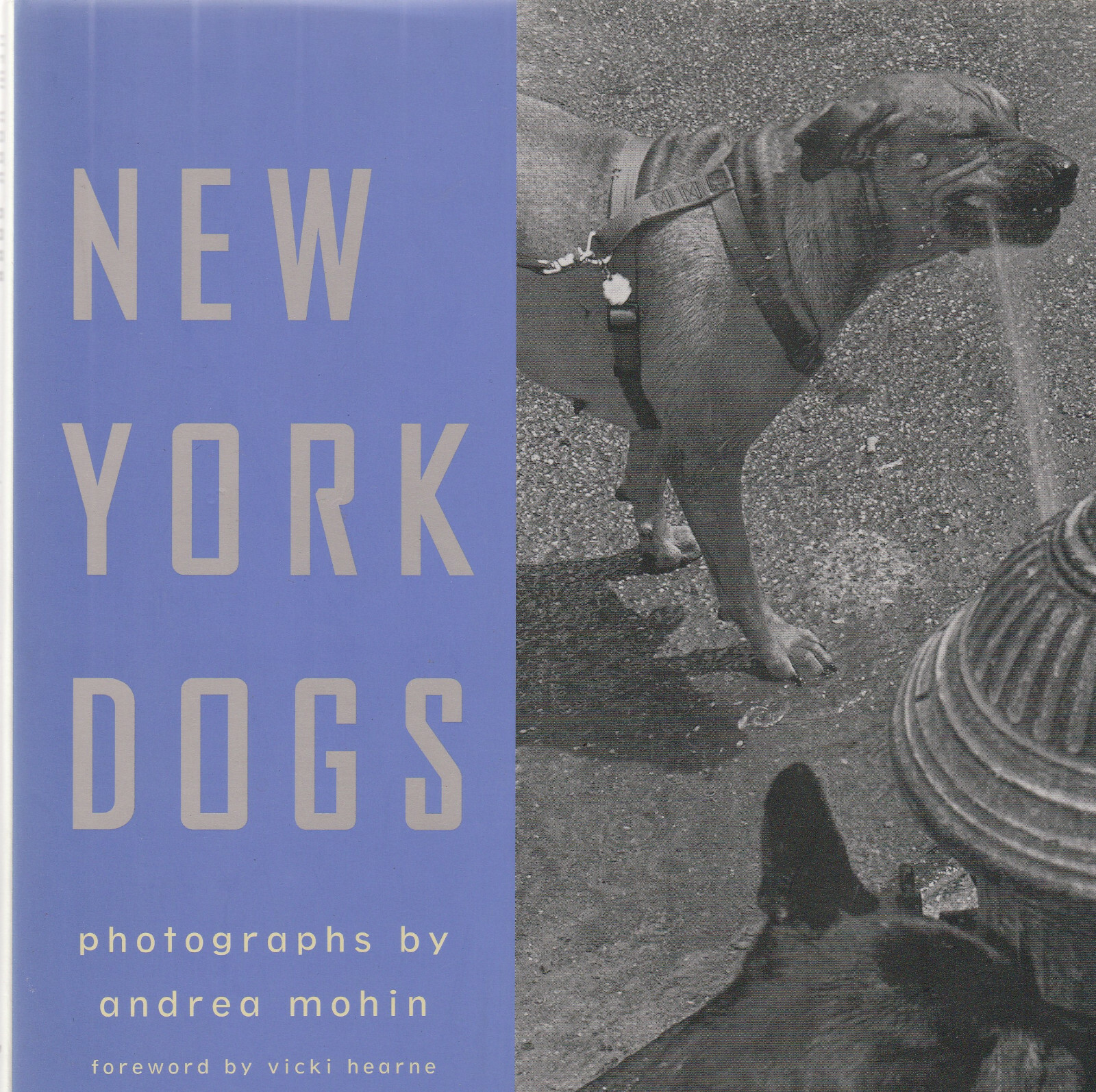 NEW YORK DOGS (1997) ANDREA MOHIN, HARDCOVER PHOTOBOOK | eBay