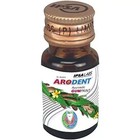 3X Arodent Ayurvedic Gum Paint For Teeth Swollen, Spongy & Loose ...