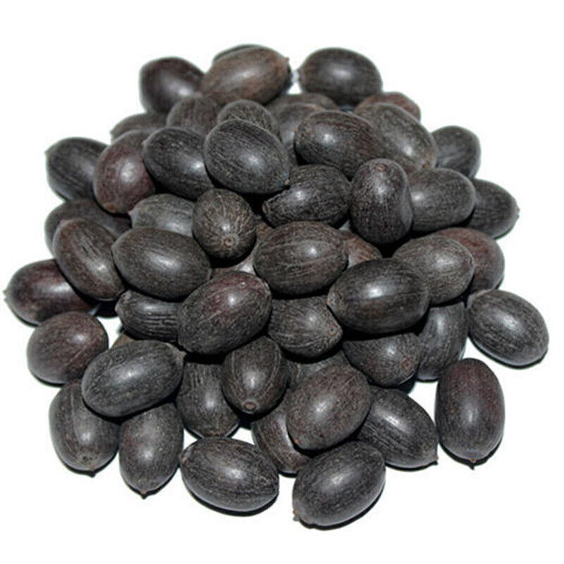 30x Seeds Lotus Mix Flowers Seed Hand-Picked Aquatic Plants Water ...