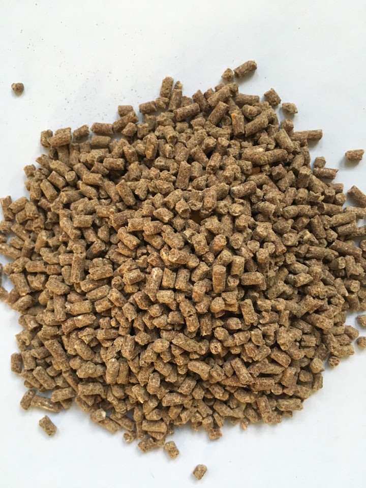 Chicken Feed Mini Pellets For Laying Hens Rooster | eBay
