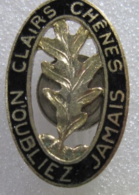 Army Crest DI dui SB screwback ww2 6th ENGINEER BATTALION bn no mark | eBay