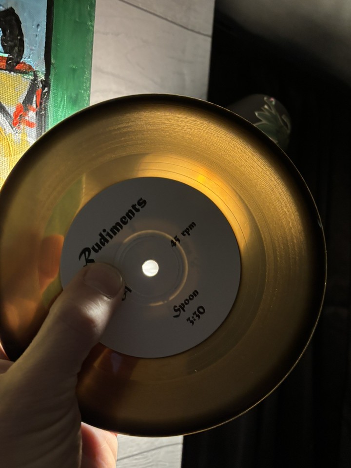 the rudiments 7" spoon rare punk suicide machines nofx guttermouth ...