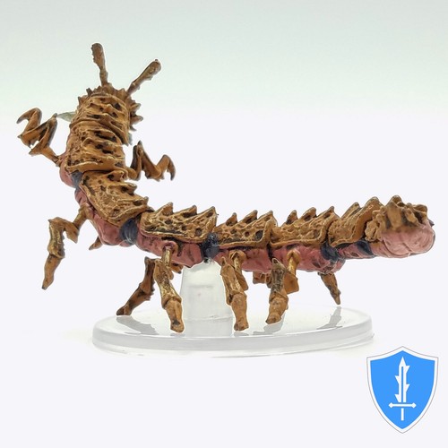 Ankheg - Classic Monsters Collection A-C #1 Icons of the Realms D&D Miniature | eBay