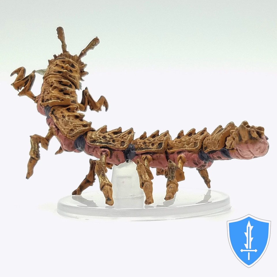 Ankheg - Classic Monsters Collection A-C #1 Icons of the Realms D&D Miniature | eBay