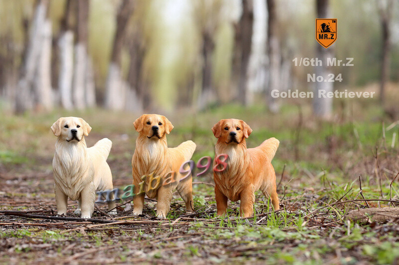 1/6 Scale Golden Retriever Action Figure Dog Model Statue Toy Home ...