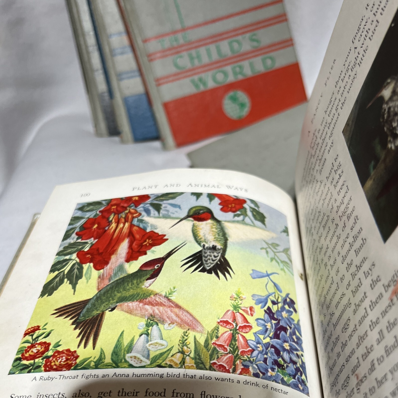 1951 59 The Childs World Full Set Volumes 1 thru 6 Illustrated Hardback ...