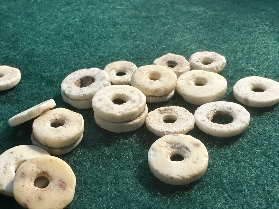 (10) Original Cherokee Indian Shell Trade Beads Ancient Artifacts Pre ...