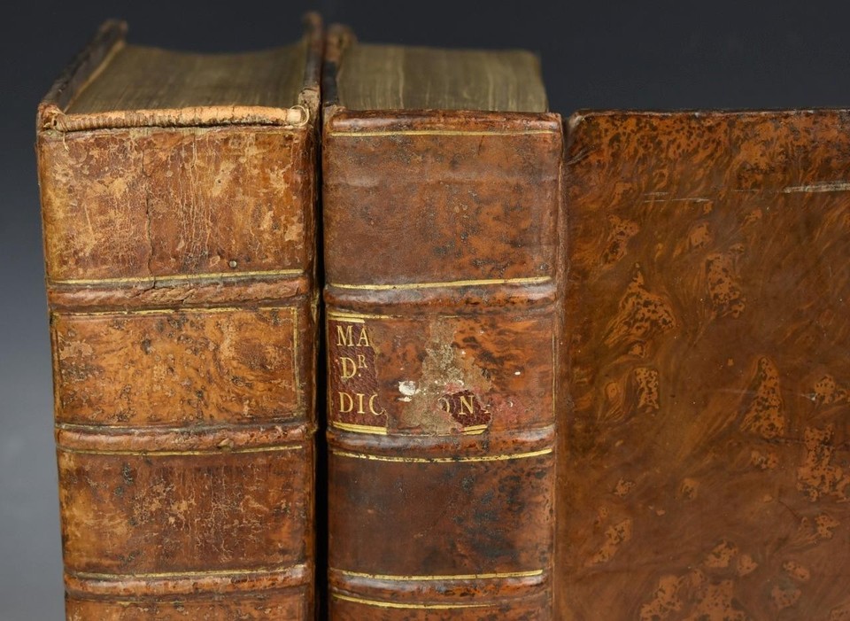 Samuel Johnson Dictionary of The English Language LEATHER Binding 1798 ...