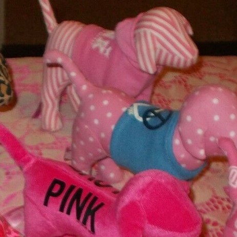 VICTORIA'S SECRET Plush Dogs Collection PINK Stuffed Animals All Colors ...