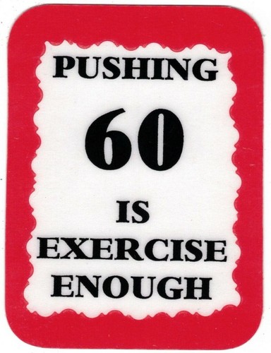 3095 Refrigerator Magnet Sign Funny Friendship Gift Pushing 60 Is ...