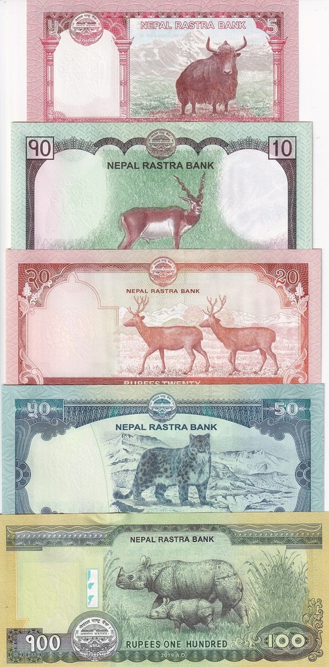 Nepal Set 5 Pcs 5 10 20 50 100 Rupees Random Date P 76 77 78 79 80 UNC ...