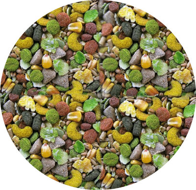 Rat Food 700g REGGIE RAT Complete Mixed Food For Rats Supreme | eBay UK