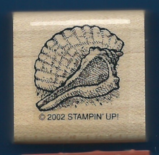 CONCH SHELL Spiral Beach Ocean CALM SEAS seashell NEW Stampin' Up ...