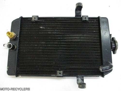 01 Raptor 660 660R Radiator 51 | eBay