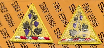 USA Connecticut Army National Guard ARNG 2.75" patch m/e | eBay